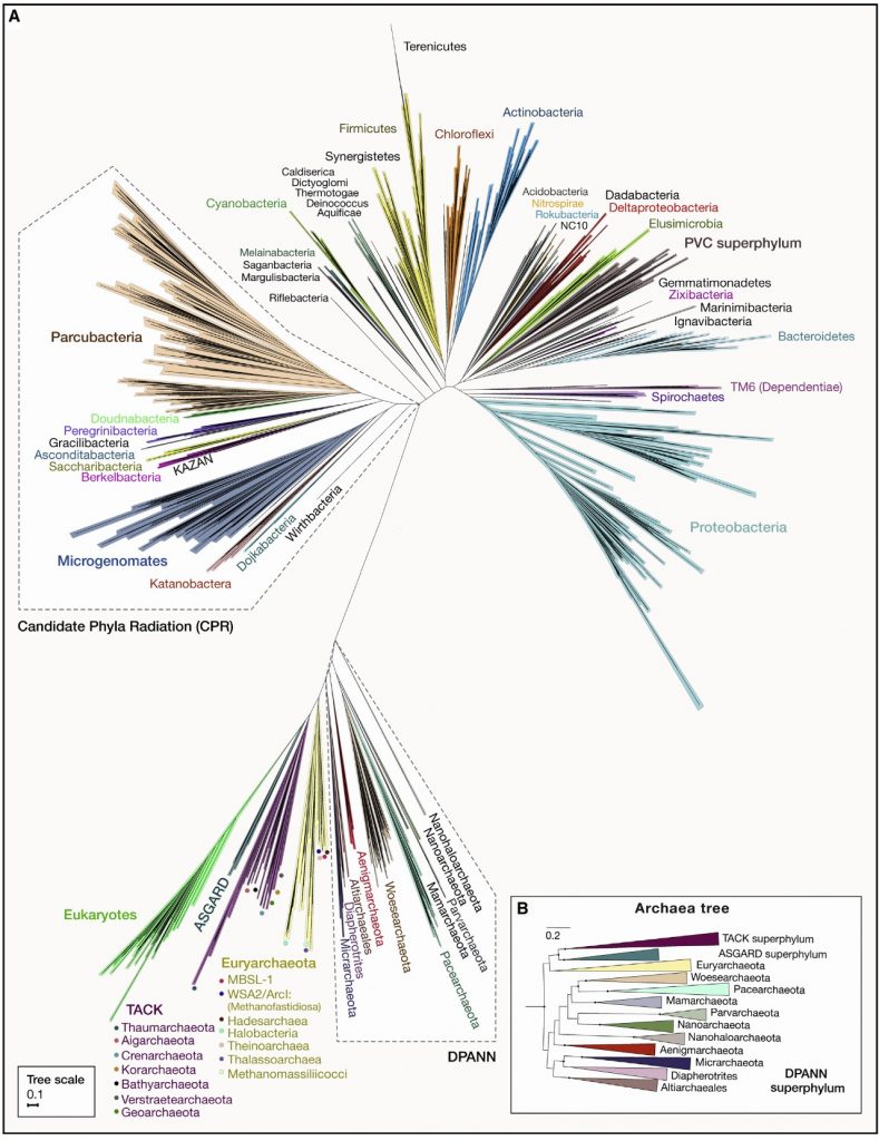 Prokaryotic Evolution – Your Telemedical Office